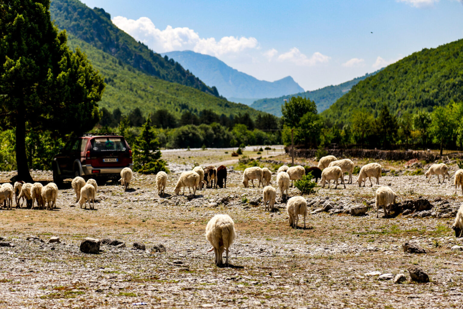 Valbona to Theth Hike Guide: Tips & Recommendations - The Holistic ...