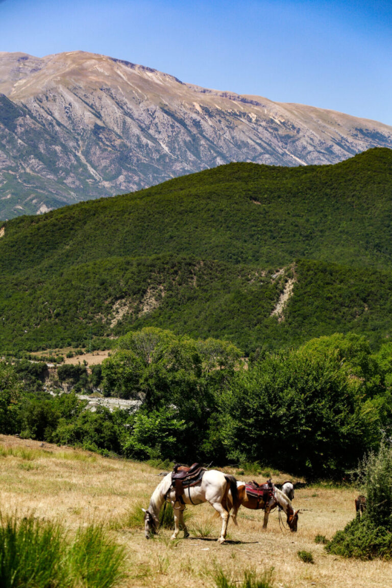 30+ BEST Albania Activities & Things to do - The Holistic Backpacker