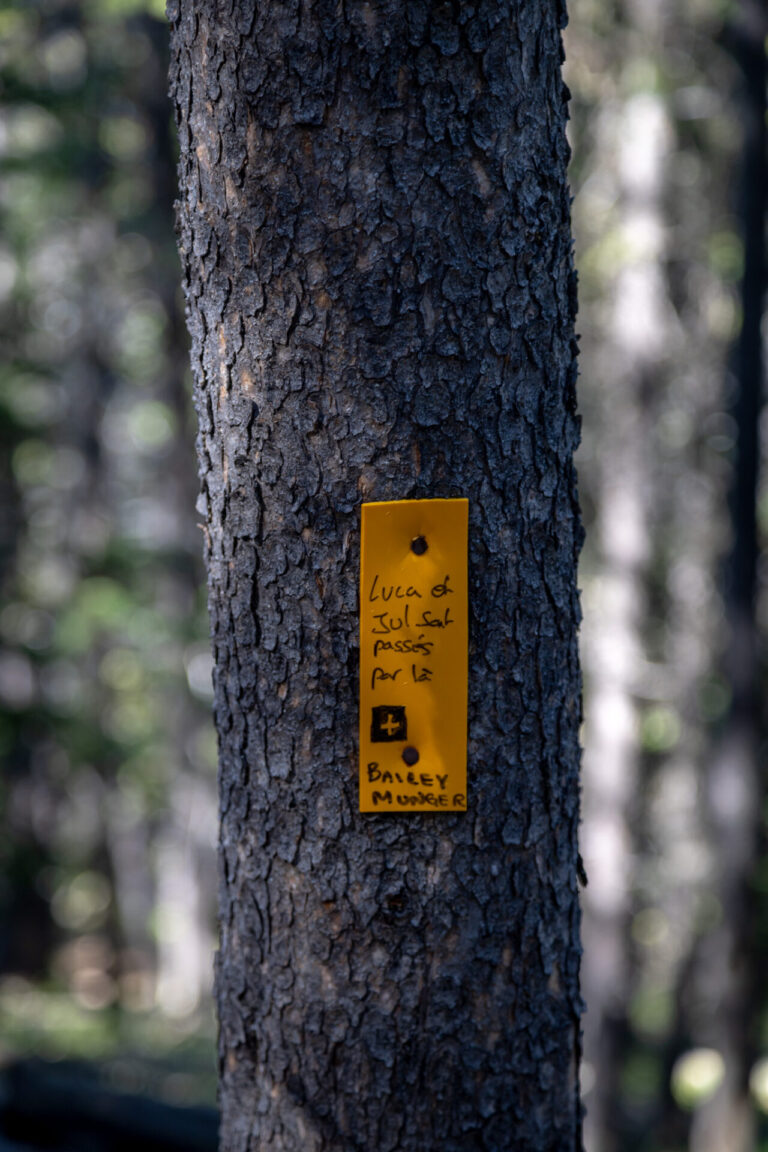 Mount Rundle Hike, Banff - DETAILED Scramble Guide with Photos - The ...