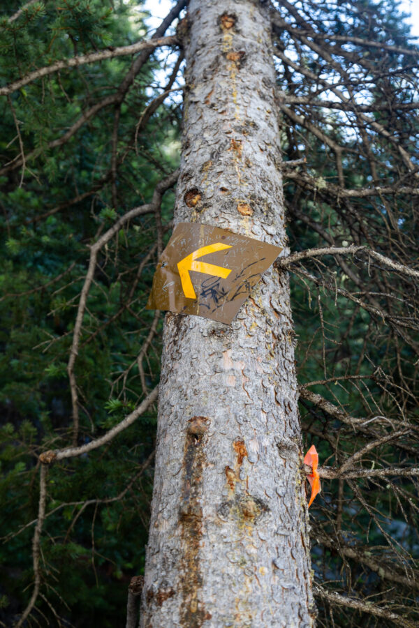 Mount Rundle Hike, Banff - DETAILED Scramble Guide with Photos - The ...